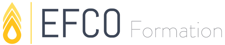 Formulaire de Mise en Relation EFCO